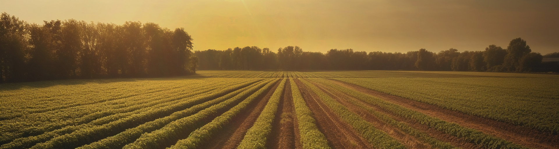 Food & Flavors of the World LLC – Feeding a better world